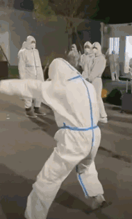 最近挺火的一张动图，葱友怎么看？ - 新·品葱