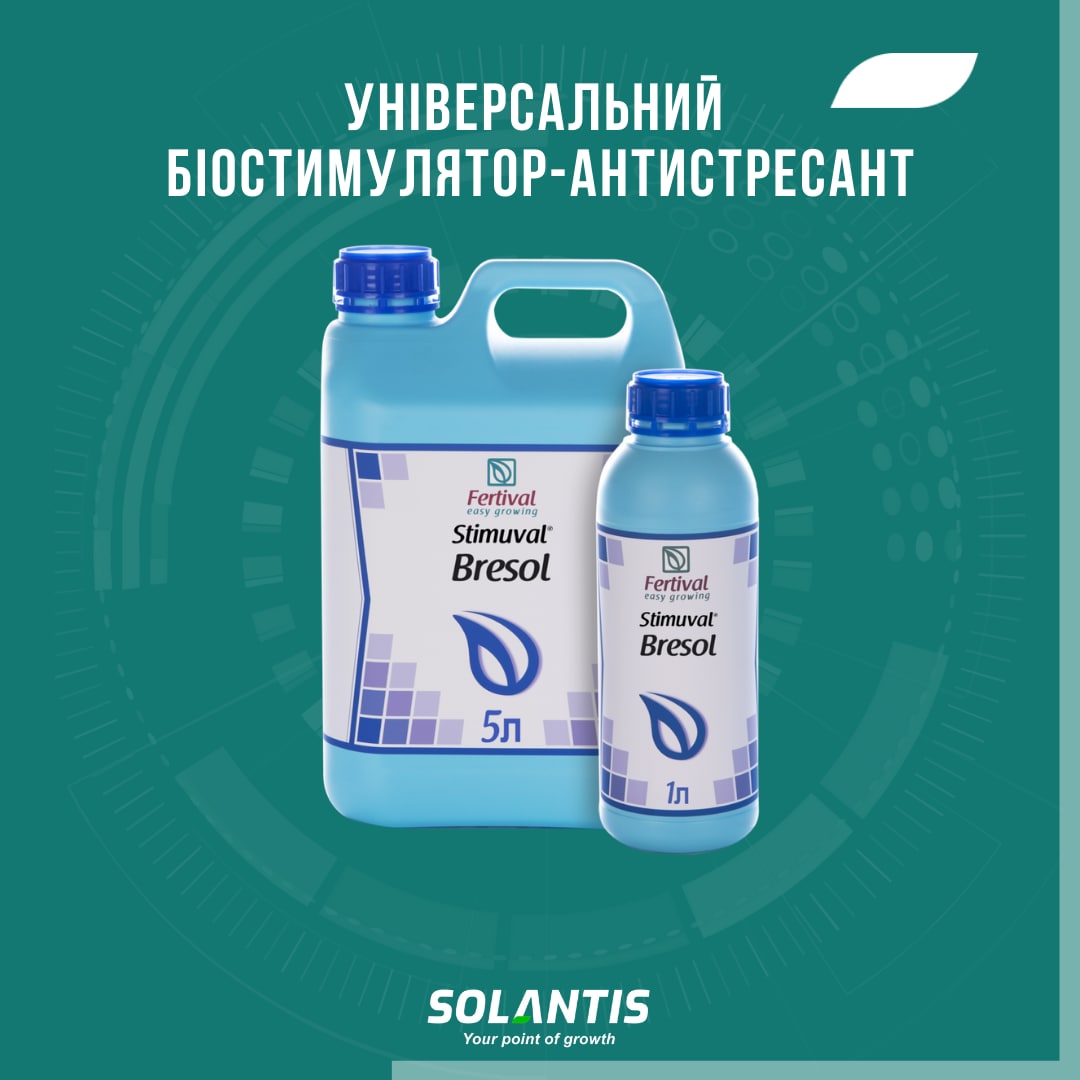 Solantis Ukraine – Telegram