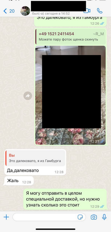 Скам Схема [PETS] 1.0 — Teletype