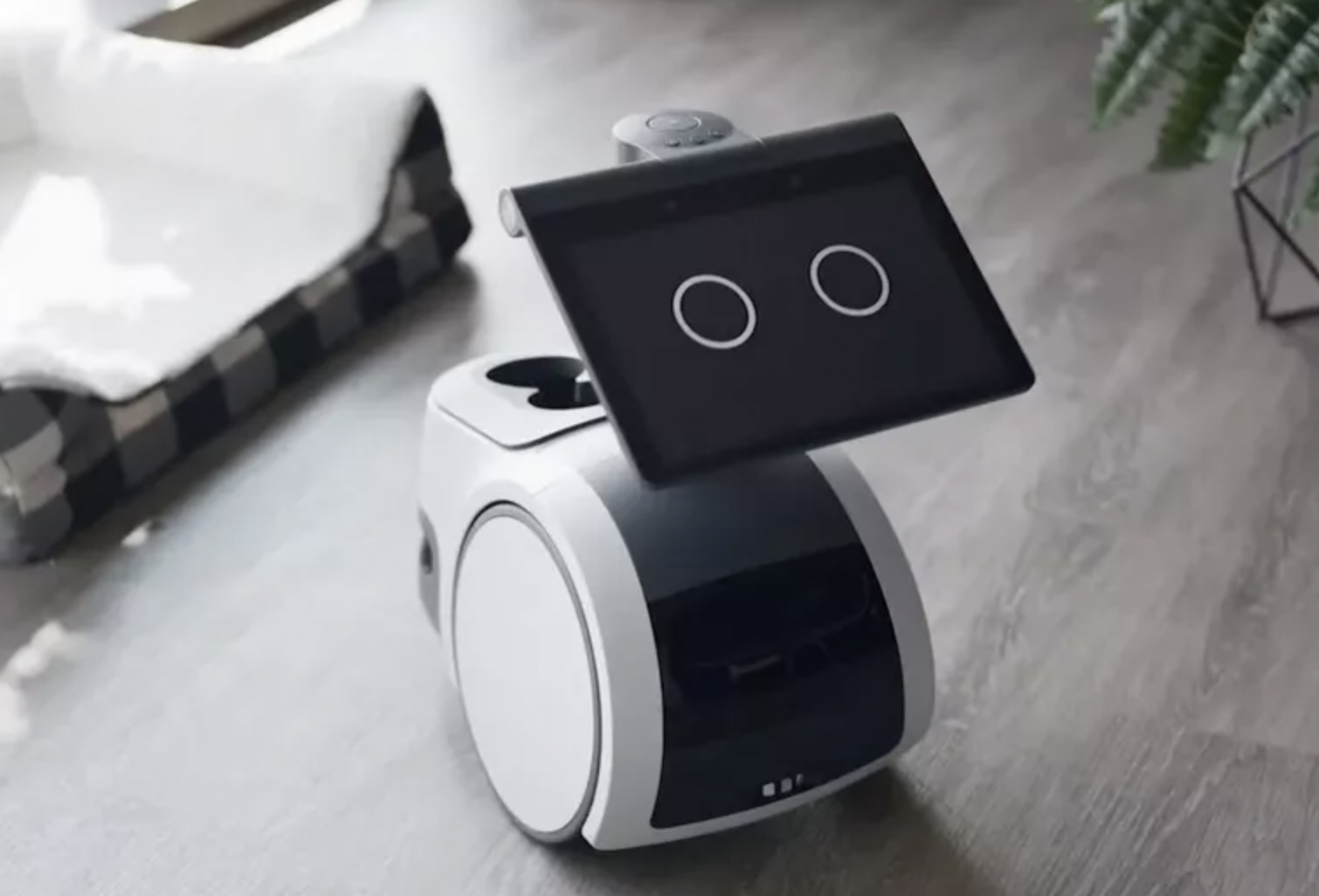 wealth_top — Teletype