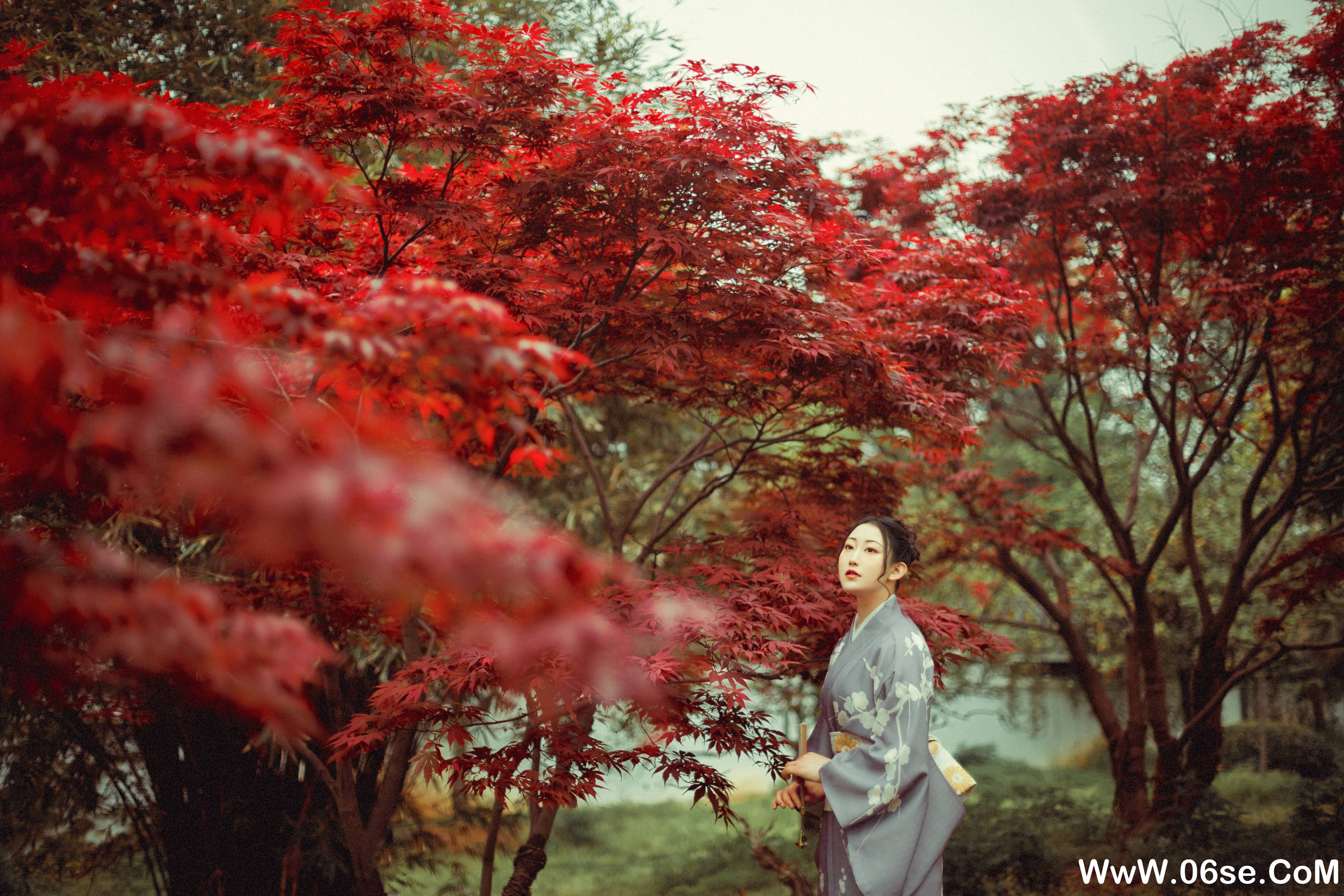 [YITUYU艺图语]2021.09.02 红叶深处 没烦恼[28+1P／499MB]-六色网