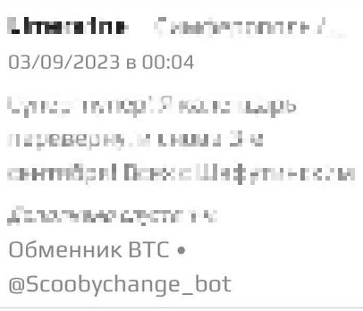 ЗАРАБОТОК НА ОТЗЫВАХ СО SCOOBY CHANGE! — Teletype