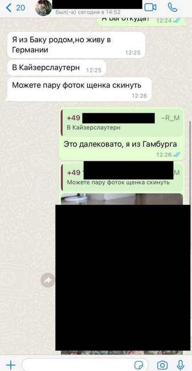 Скам Схема [PETS] 1.0 — Teletype