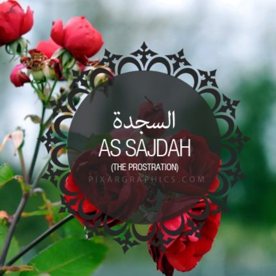 makna perkataan ranggi - Maria Paterson