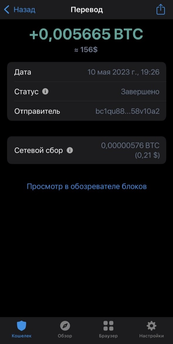 20000 Рублей на абузе киви / Temki Inc. — Teletype