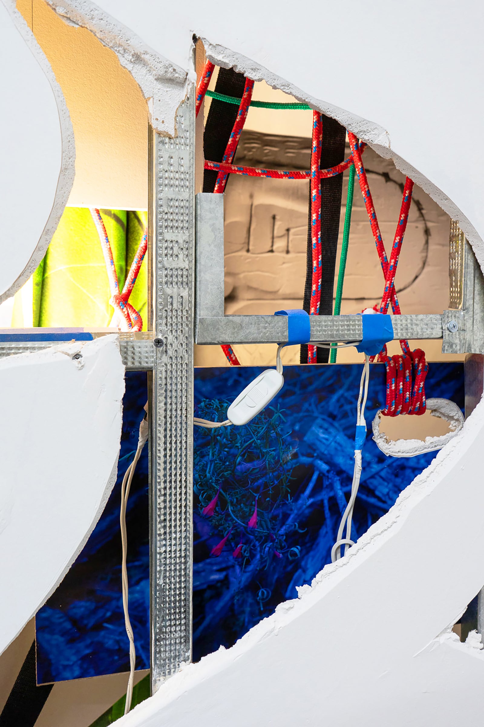 TZVETNIK – Telegram