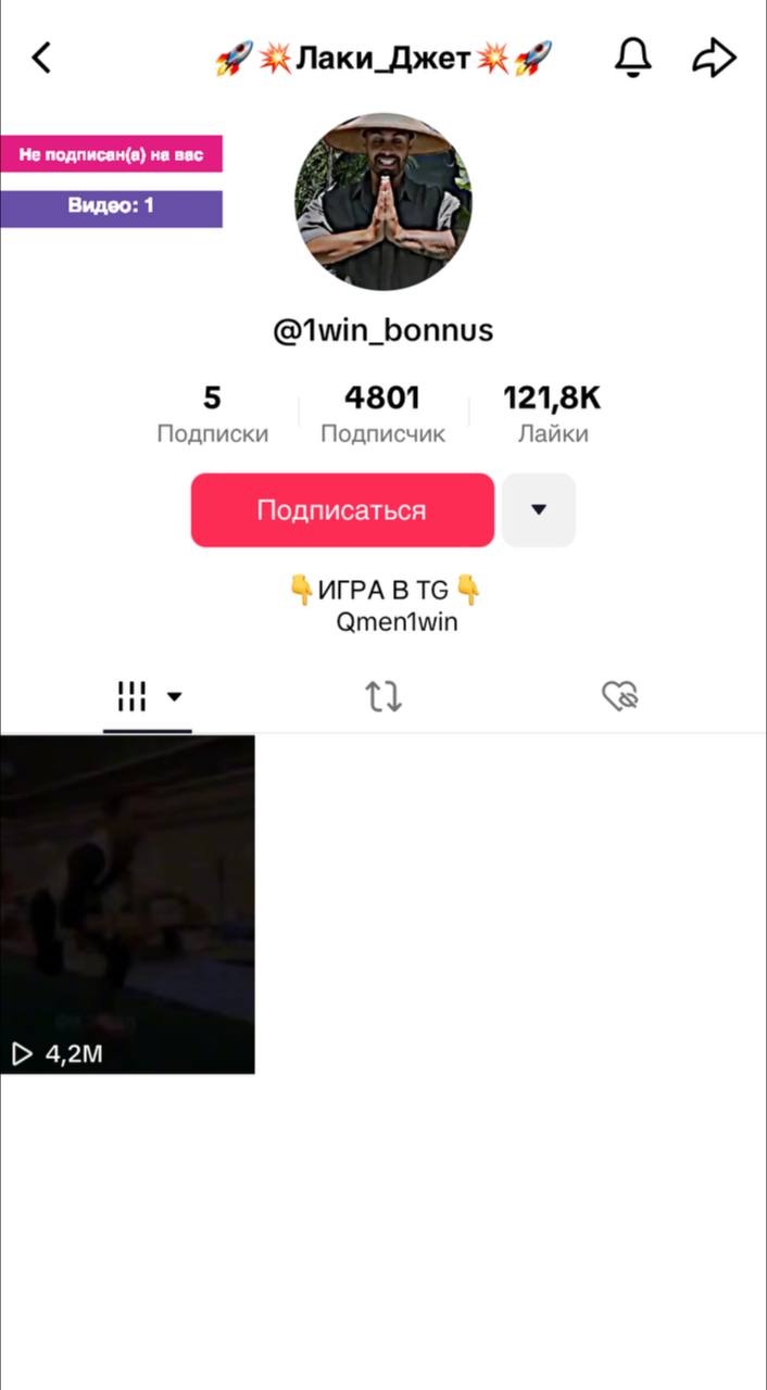 Как переливать трафик из TikTok в Telegram | MagicClick.partners