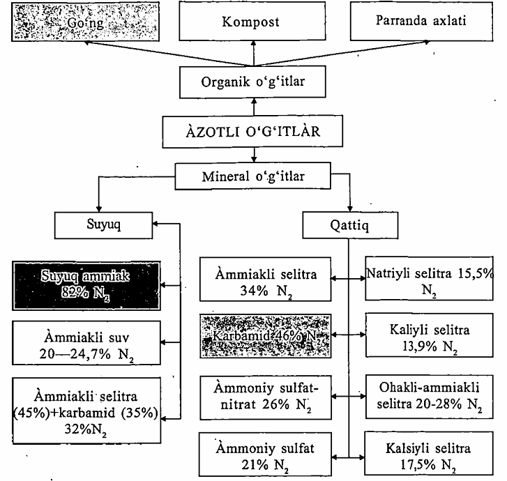 Azotli o’g’itlar haqida - ifazo.uz