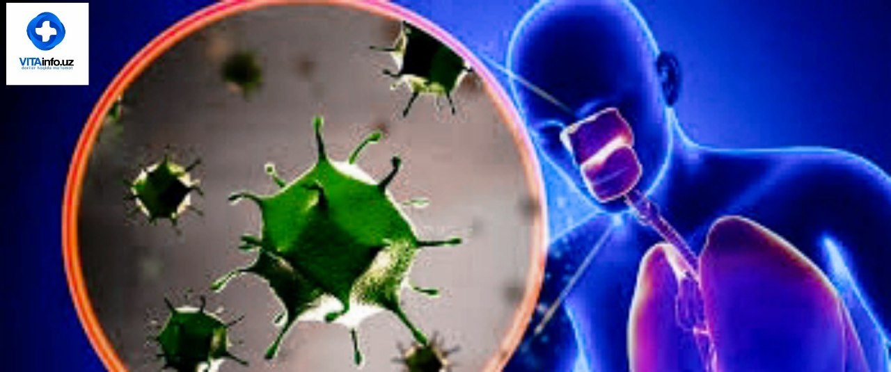Dorilar haqida malumot VITAinfo.uz 🌐 – Telegram