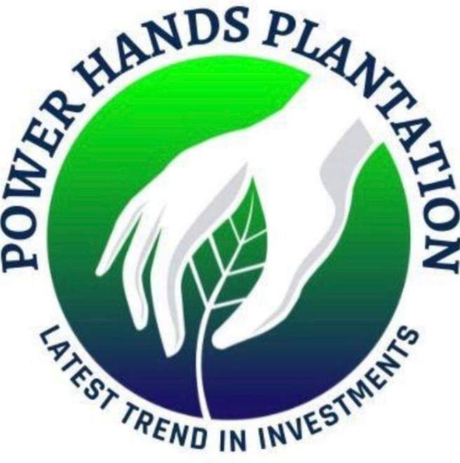 POWER-HANDS-PLANTATION · GitHub