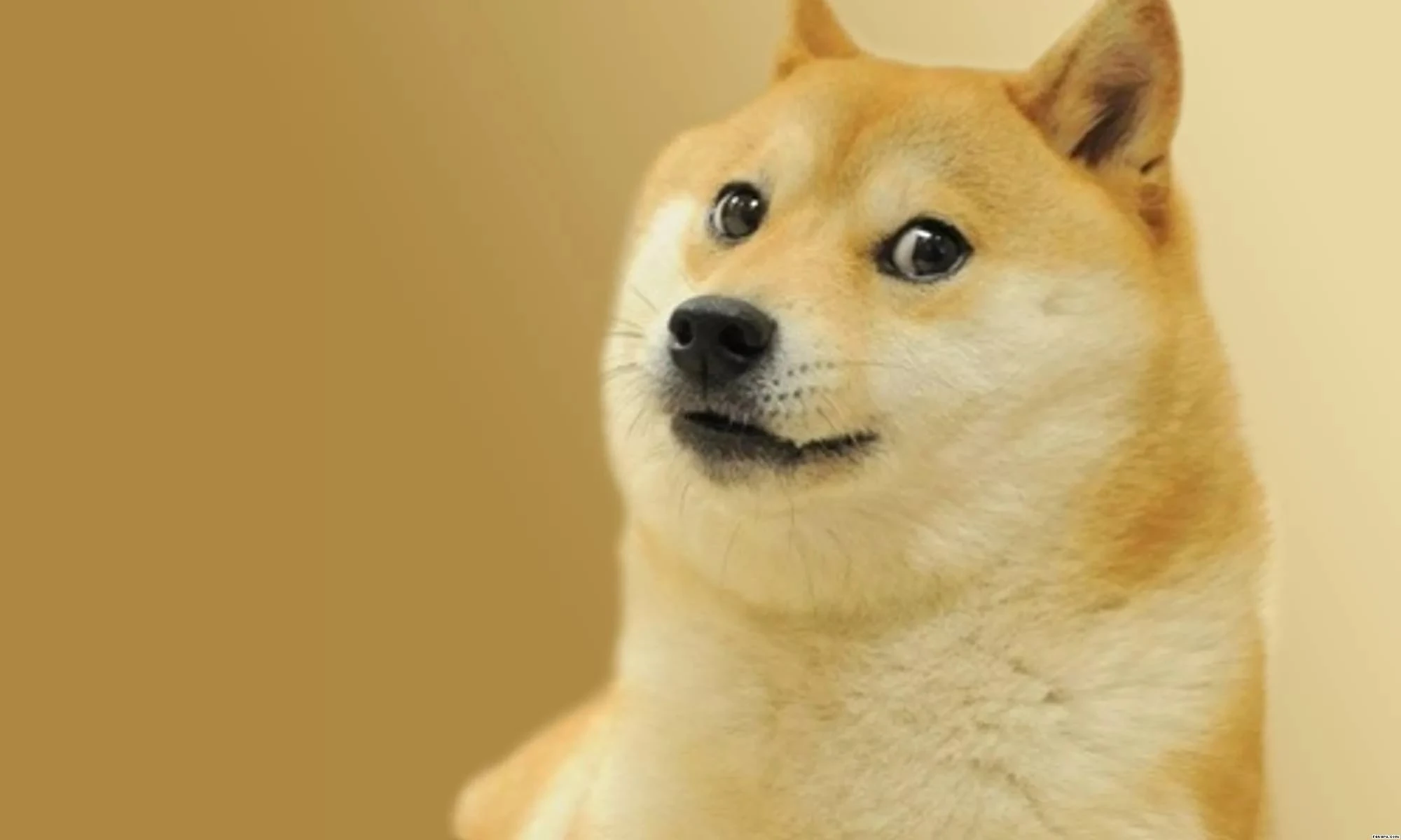 D O G E Telegraph d-o-g-e-telegraph