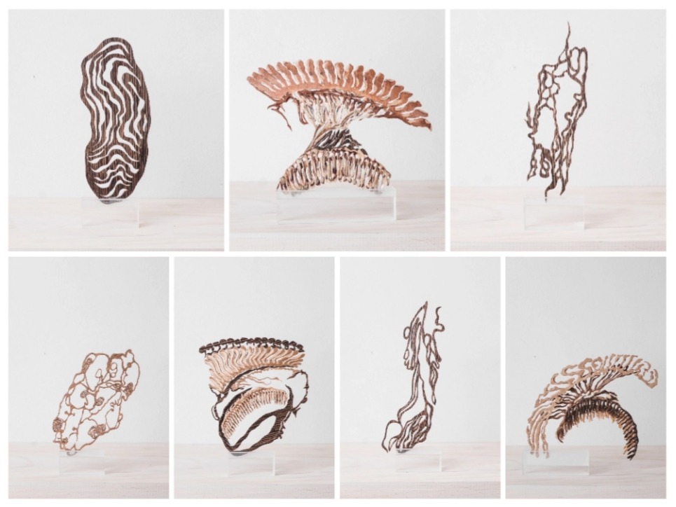 Красивые вещи в твоей голове: победители 10-го ежегодного конкурса ...