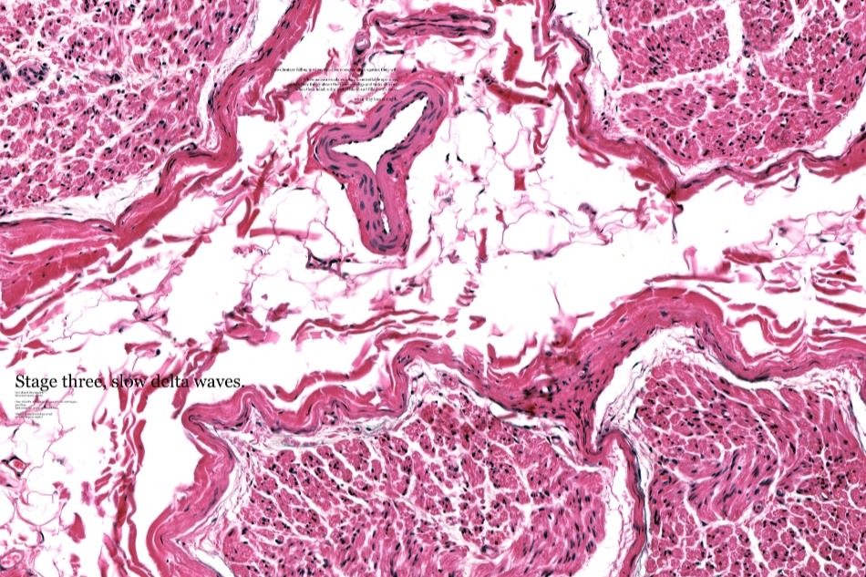 Красивые вещи в твоей голове: победители 10-го ежегодного конкурса ...