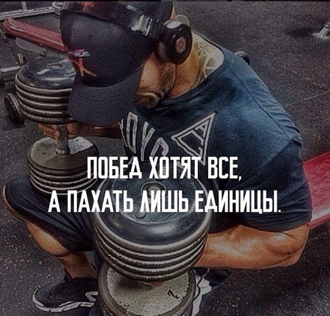legion of bodybuilders – Telegram
