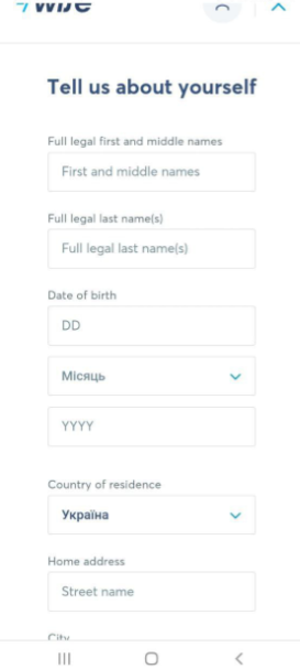 Верификация Wise — Teletype